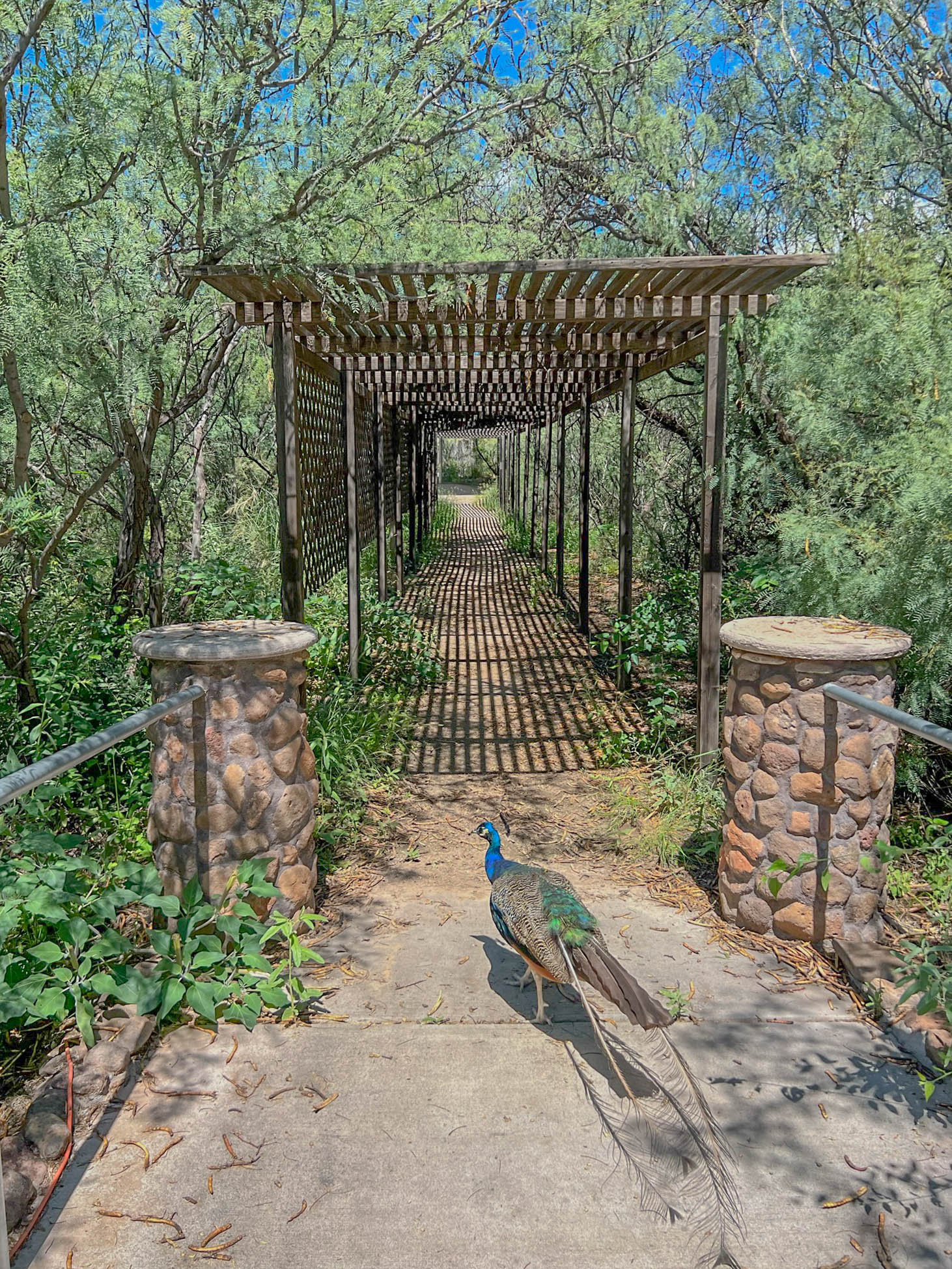 Faywood, New Mexico: Outstanding camping at the City of Rocks and ...